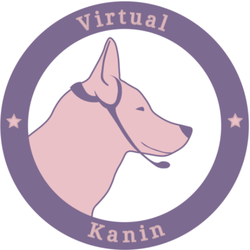 Les qualités qu’on me reconnait - Virtual Kanin